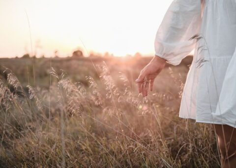 Spirit Pathways awaken, heal, evolve, guidance, wisdom